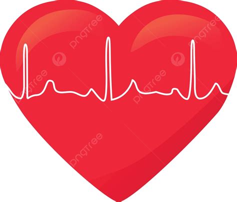 Heart And Cardiogram Cardiology Electrocardiogram Symbol Vector