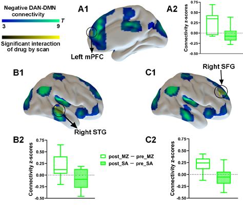 Figure 5 From The Effect Of Light Sedation With Midazolam On Functional