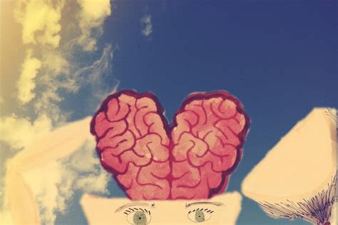 el mapa cerebral del amor y el deseo sexual conectando