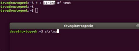 how to copy and paste text at linux s bash shell