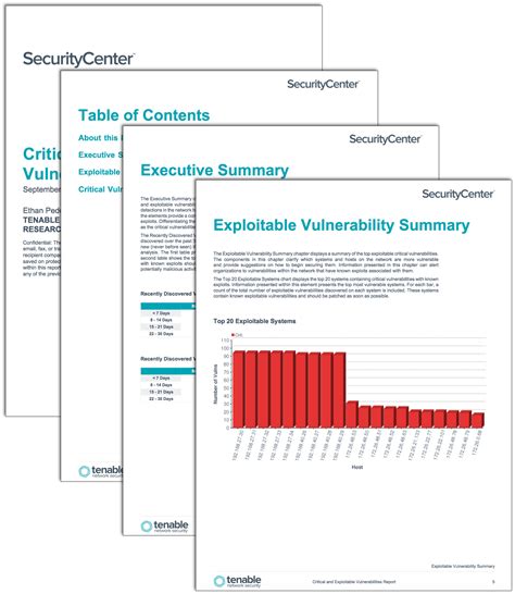 critical and exploitable vulnerabilities report sc report template