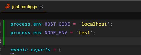 how to add env variables to the extension · issue 492 · jest