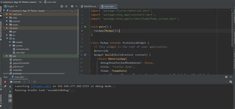 flutter when you start a finished project downloaded from the