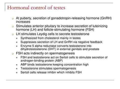 Ppt Chapter 28 The Reproductive Systems Powerpoint Presentation