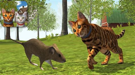 Cat Simulator 2020 Walkthrough Gameplay Intro Android Youtube