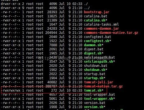 add executable permissions to linux files programmerah