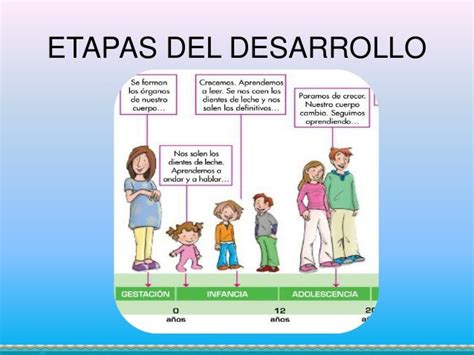 Desarrollo Infantil Etapas Del Desarrollo Infantil Images And Photos
