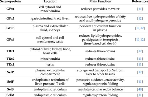 Redox Active Selenoproteins Their Location And Main Functions