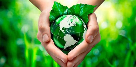 Impacto Ambiental De La Tecnología Digital En El Siglo 21