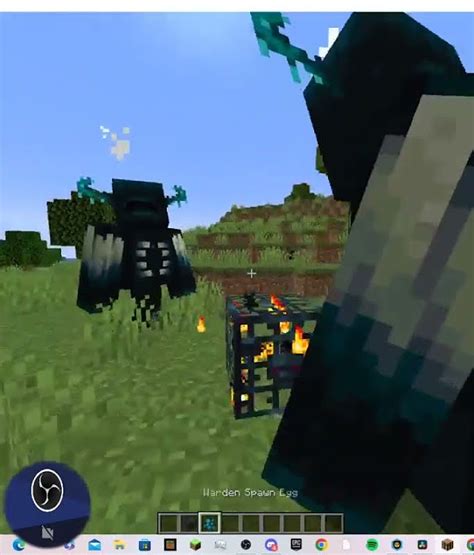 Can You Use A Warden Spawn Egg Inside Of A Mob Spawner Youtube