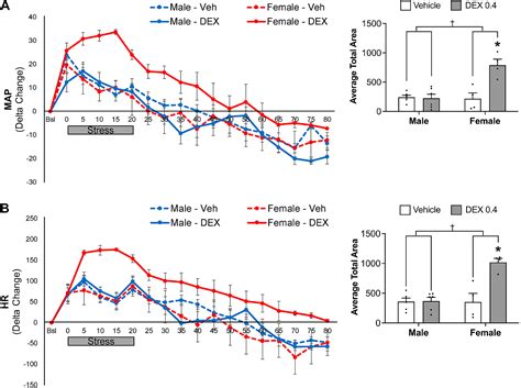 Impact Of Angiotensin Ii Receptor Antagonism On The Sex Selective