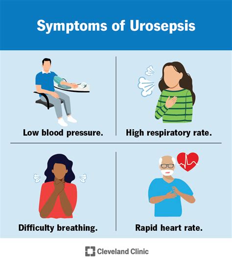 Sepsis Causes Prevention Incacare