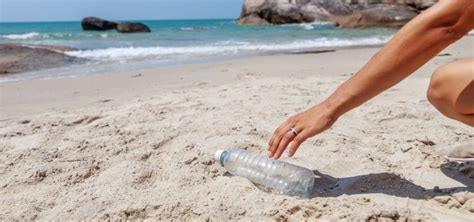 Keeping Our Seas Plastic Free International Coastal Cleanup