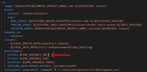 sitecore using environment variables for docker container the debug