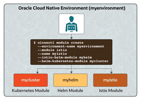 oracle® cloud native environment service mesh for release 1 3 chapter