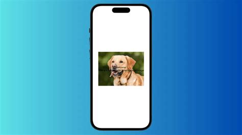 how to set background image for vstack in ios swiftui coding with rashid