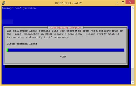 beautiful grub bootloader with burg on linux debian idw7