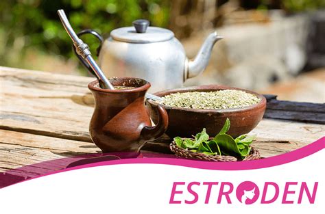 Yerba Mate Health Benefits And Side Effects Estroden