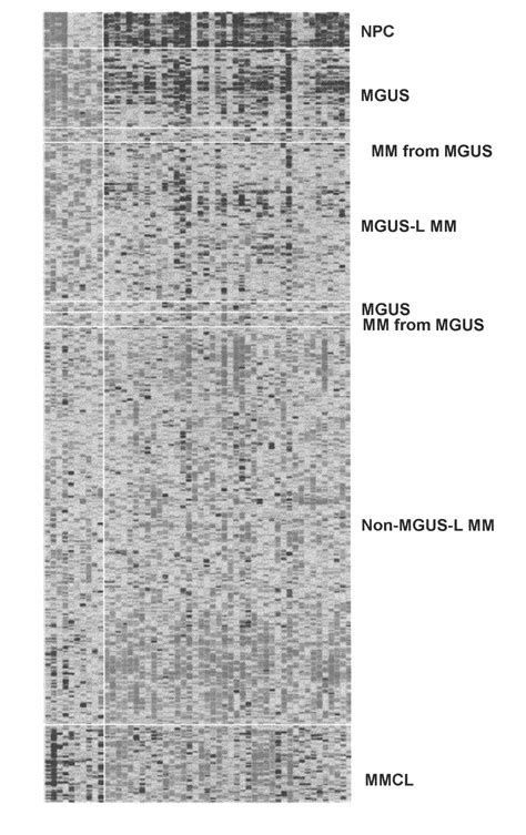 Gene Expression Profiling Based Identification Of Genomic Signatures Of