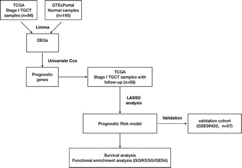 Frontiers Development And Validation Of A Gene Signature For