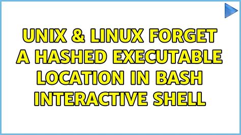 unix and linux forget a hashed executable location in bash interactive