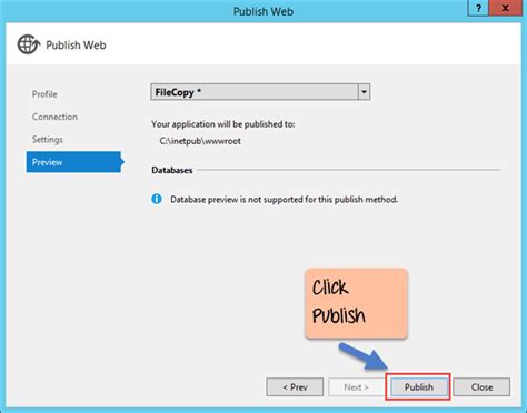 how to host a website on iis setup and deploy web application