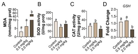 Toxics Free Full Text Polystyrene Microplastics Induced Ovarian