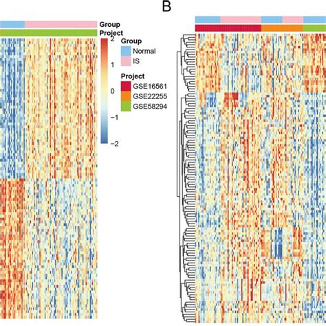 Functional Analysis Of Differentially Expressed Genes Degs Between