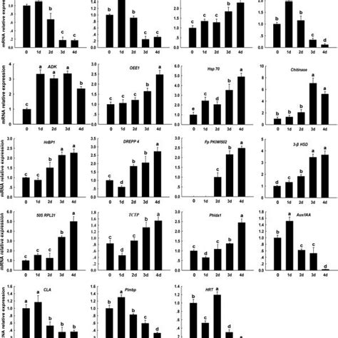 Quantitative Real Time Pcr Analysis Of The Mrna Expression Levels Of
