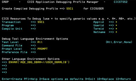 setting up the cics db2 environment
