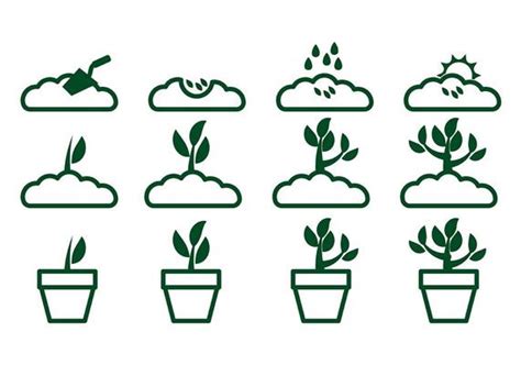 Plant Growth Vector Art Icons And Graphics For Free Download