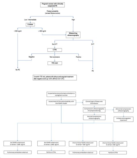 The Ct Pe Pregnancy And The Pregnancy Adapted Years Diagnostic