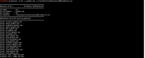 importance of enumeration in web vapt w cyberteam