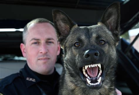 Waterville Police Department Gets First K 9 In More Than 30 Years