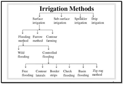 Different Types Of Irrigation And Irrigation Systems