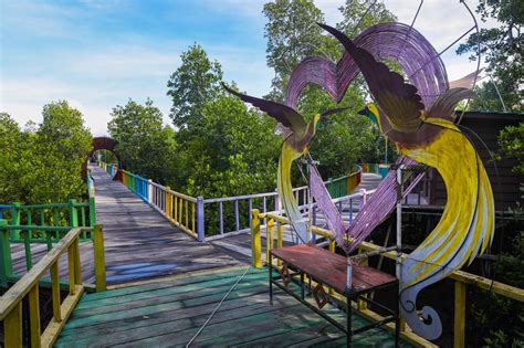 Taman Mangrove Klawalu Papua