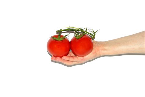 무료 이미지 여자 화이트 과일 외딴 식품 빨간 생기게 하다 야채 보유 딸기 소유 주변 꽃 피는 식물