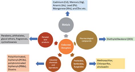Figure 1 From Effect Of Endocrine Disrupting Chemicals On Hpg Axis A