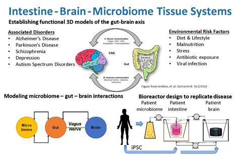 Prof David Veale Discusses The Science Behind Microbi