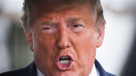 ‘i Hope Its True Trump Responds To Claim He Was Chosen By God Fox News