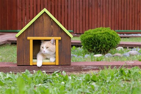 15 Diy Outdoor Cat House Plans You Can Build Today With Pictures