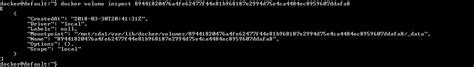 understanding data sharing in sql server docker containers