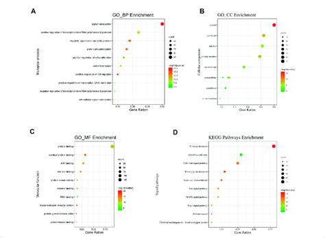 Go And Kegg Pathway Analysis Of Intersecting Genes A B C Bubble Plot