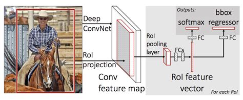 fine tune the target detection model based on torchvision 0 3 official