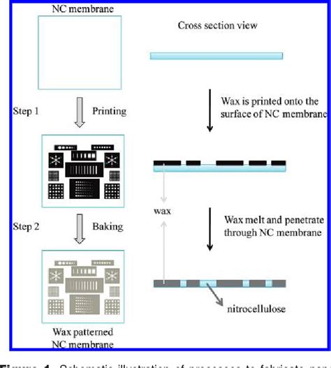 Figure 2 From Fabrication And Characterization Of Paper Based