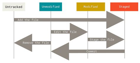 create your own github repository with git enlight