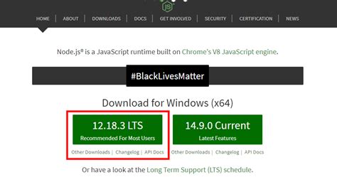 install node js npm and vs code editor on windows mac