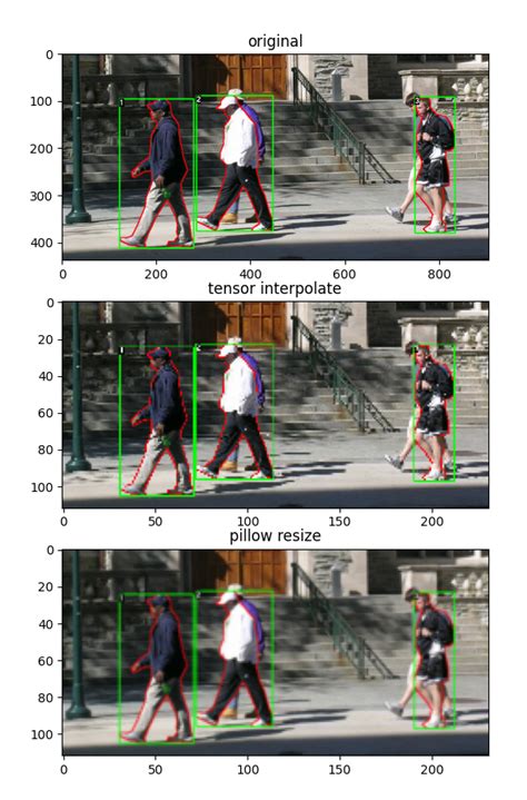 in transforms resize tensor interpolate is not the same