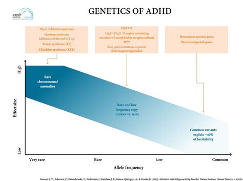 Diagnosis And Management Of Adhd Focus On Adult Adhd