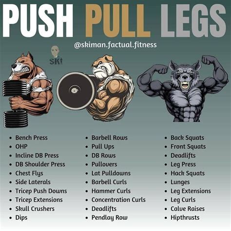 What The Diagram Shows Us Here Is Simple Ppl Exercises So You Can